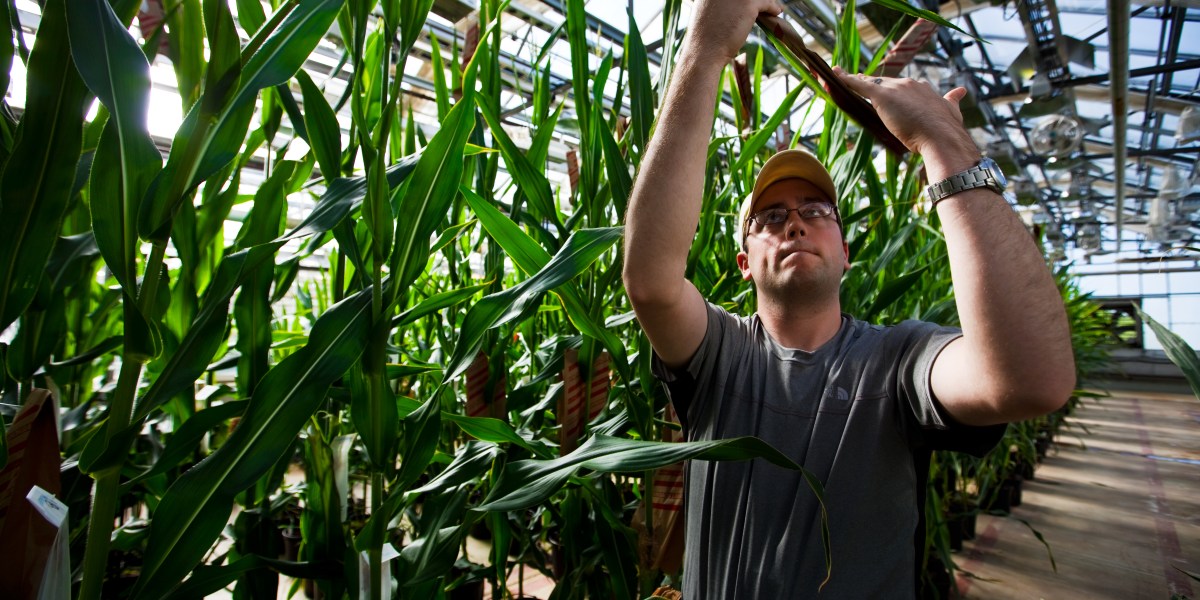 Why Monsanto always wins | Fortune