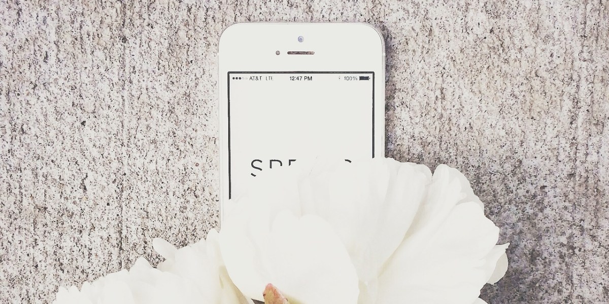 David and Alan Tisch raise $7.5 million for stealthy startup Spring ...