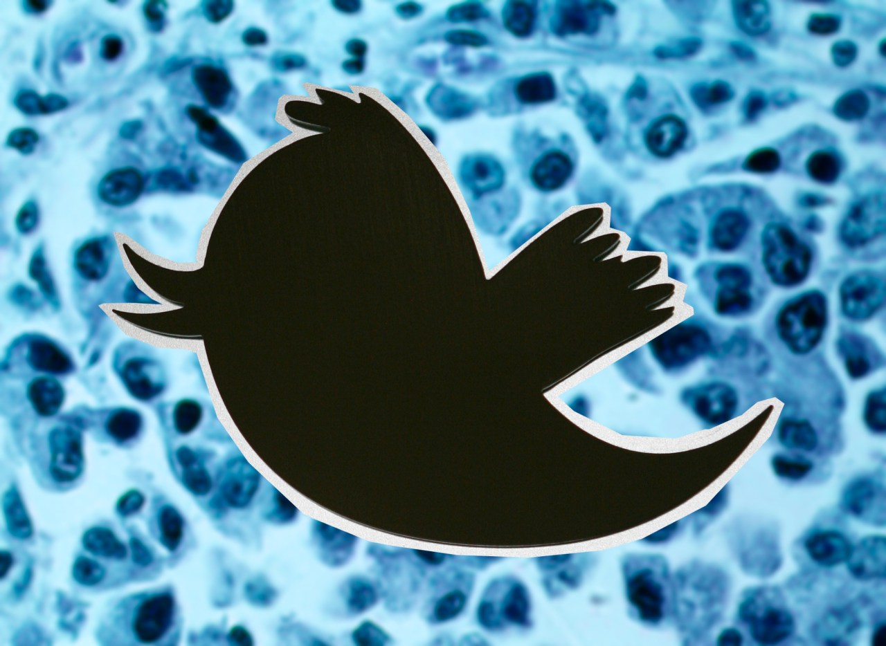 CONTAGION—How Twitter got so hot in academic research | Fortune