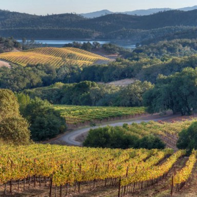 Best Napa Valley wineries to visit | Fortune