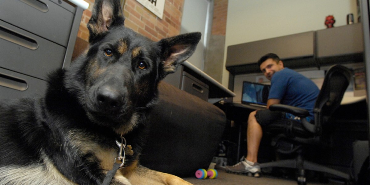 The 12 Best Companies For Pet-Loving Employees | Fortune