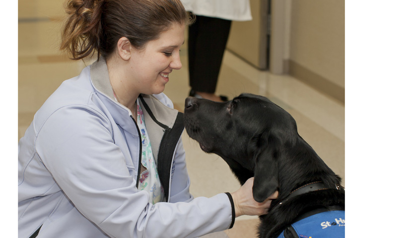 The 12 Best Companies For Pet-Loving Employees | Fortune