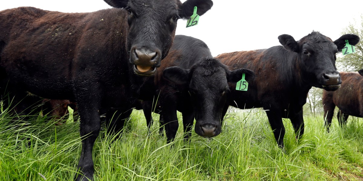 Antibiotics in meat: A public health controversy that isn't going away ...