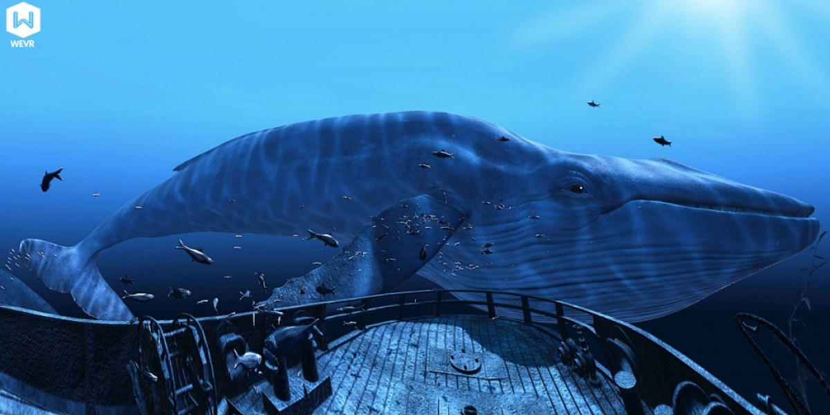 Wevr Raises $25 Million to Launch the YouTube of Virtual Reality | Fortune