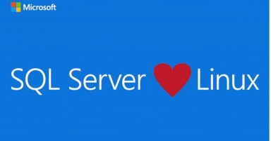 Microsoft To Bring SQL Server to Linux | Fortune