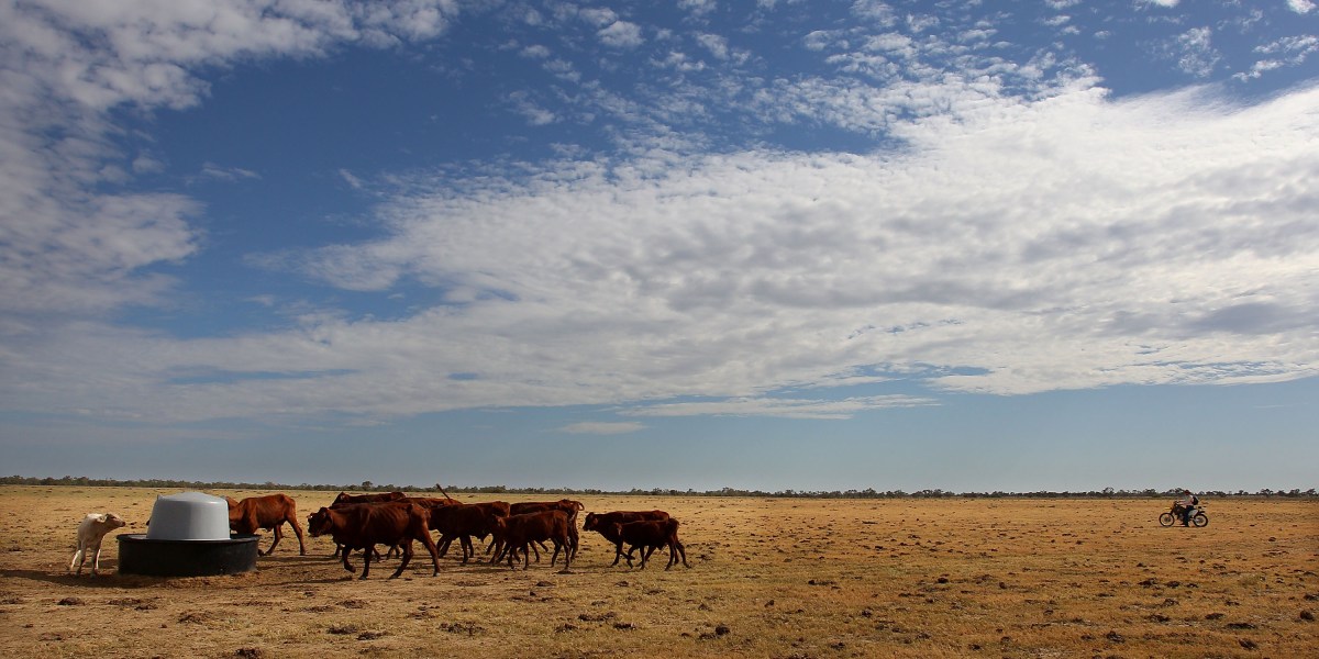Australia Is Blocking China From Buying 1% of Its Landmass | Fortune
