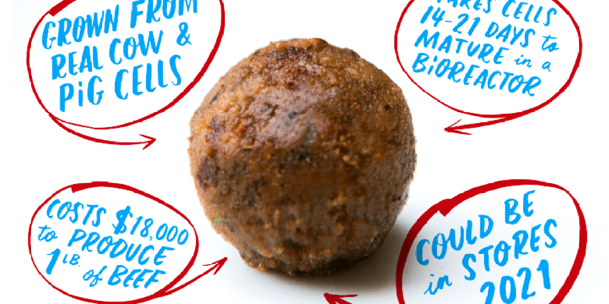 The Hottest Tech in Silicon Valley Made This Meatball | Fortune