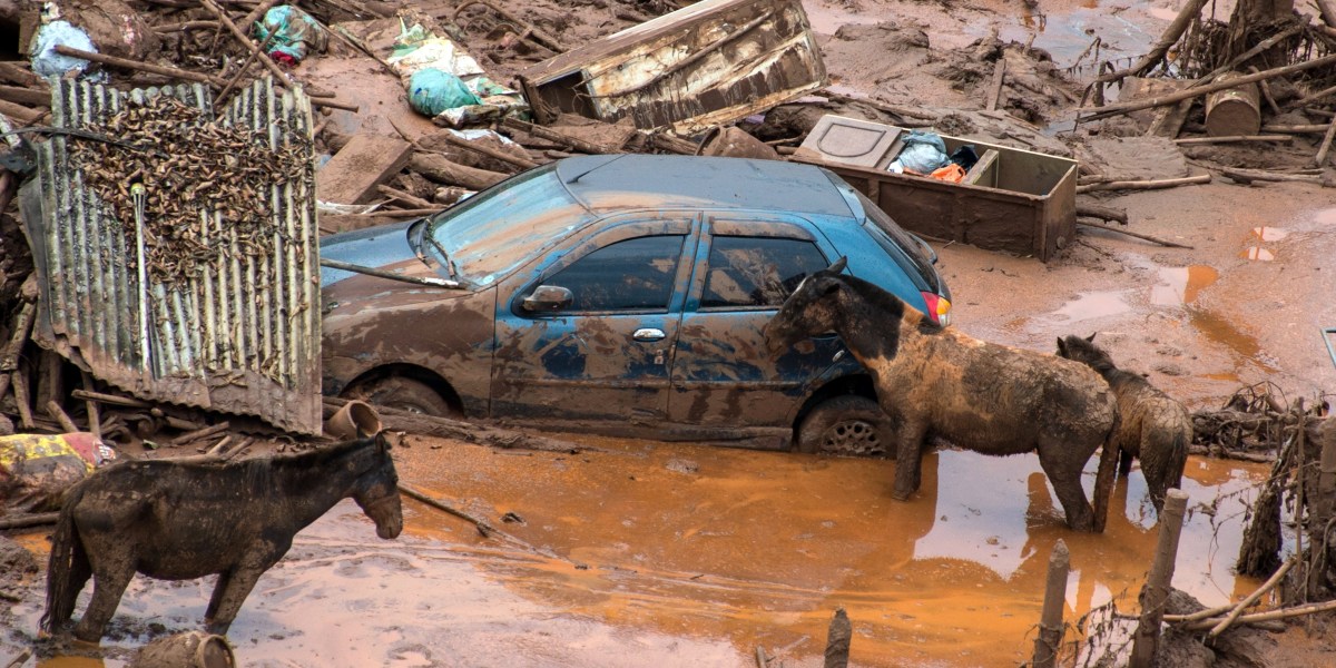 Probe Finds Samarco Disaster Was Caused By Poor Drainage and Design ...