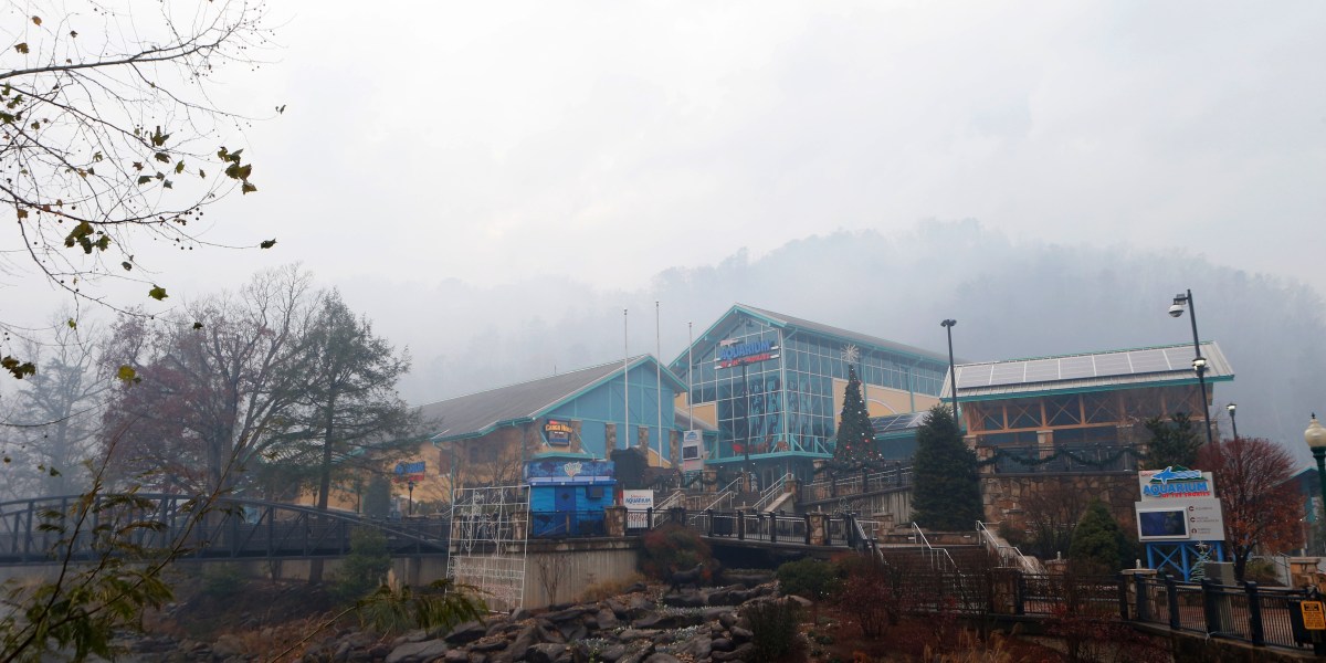 Death Toll Rises to 7 in Tennessee's Great Smoky Mountains Fires | Fortune