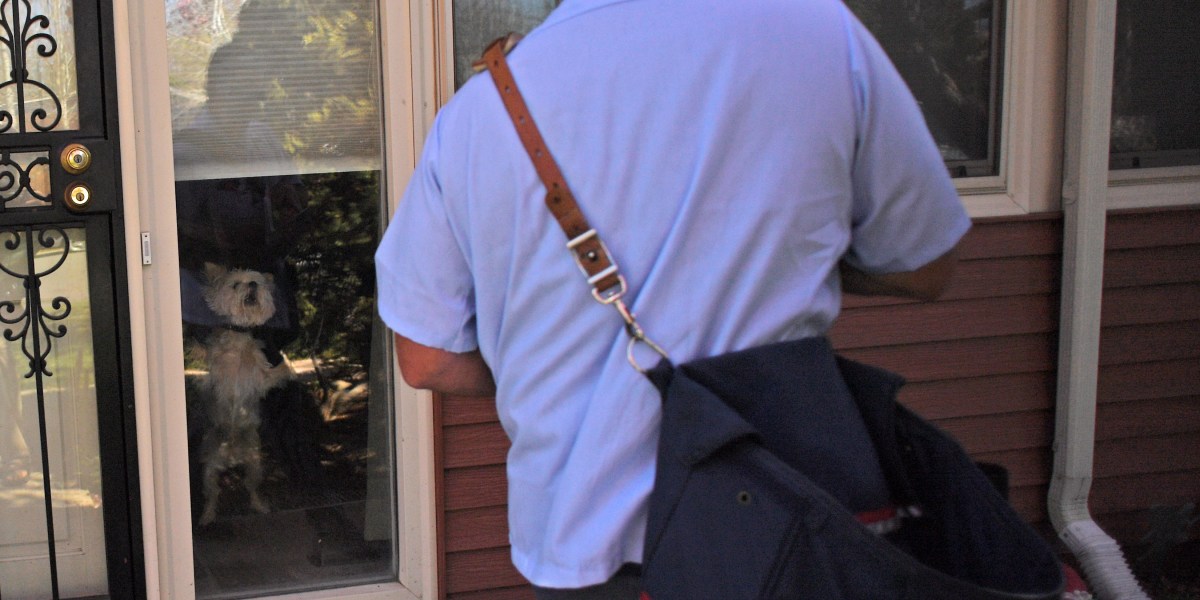 USPS Says Dogs Are Attacking More Mail Carriers | Fortune