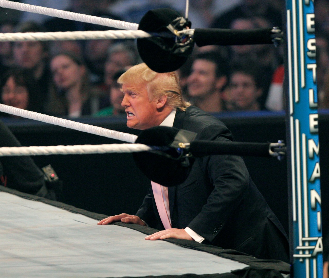 Trump WWE Tweet is 'Incitement to Violence' Against Media: Critics ...