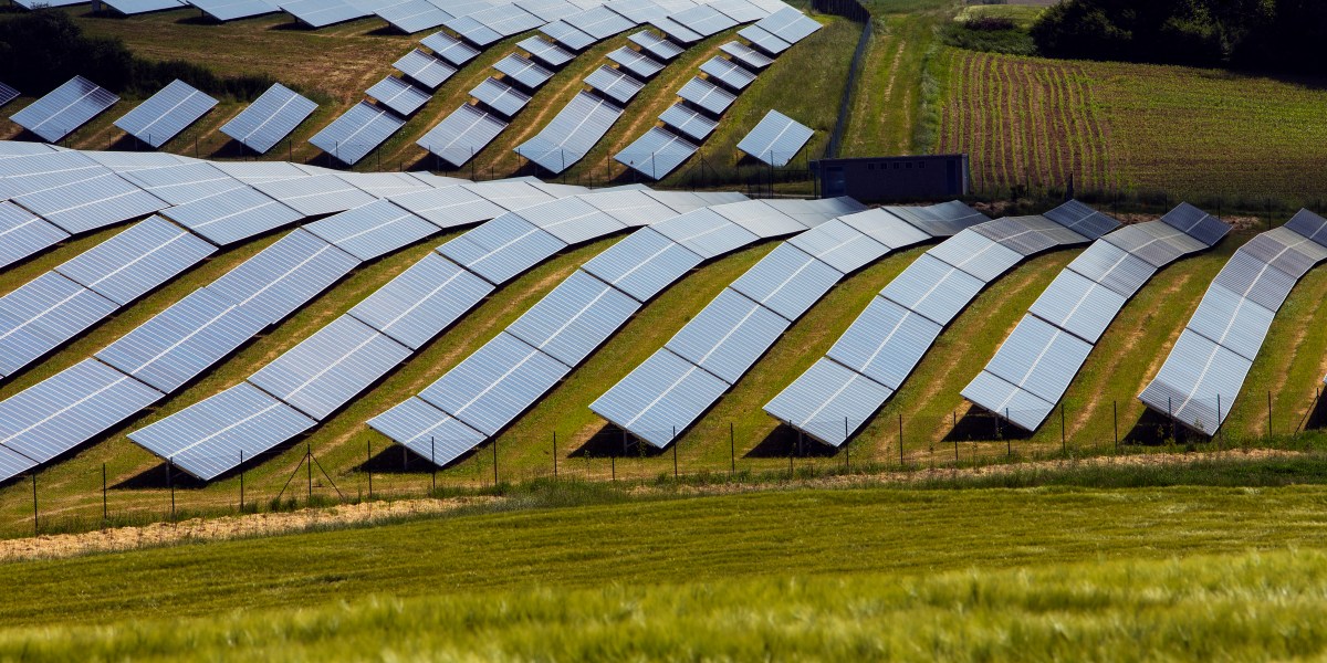 Chinese Solar Farm Looks Like a Giant Panda | Fortune