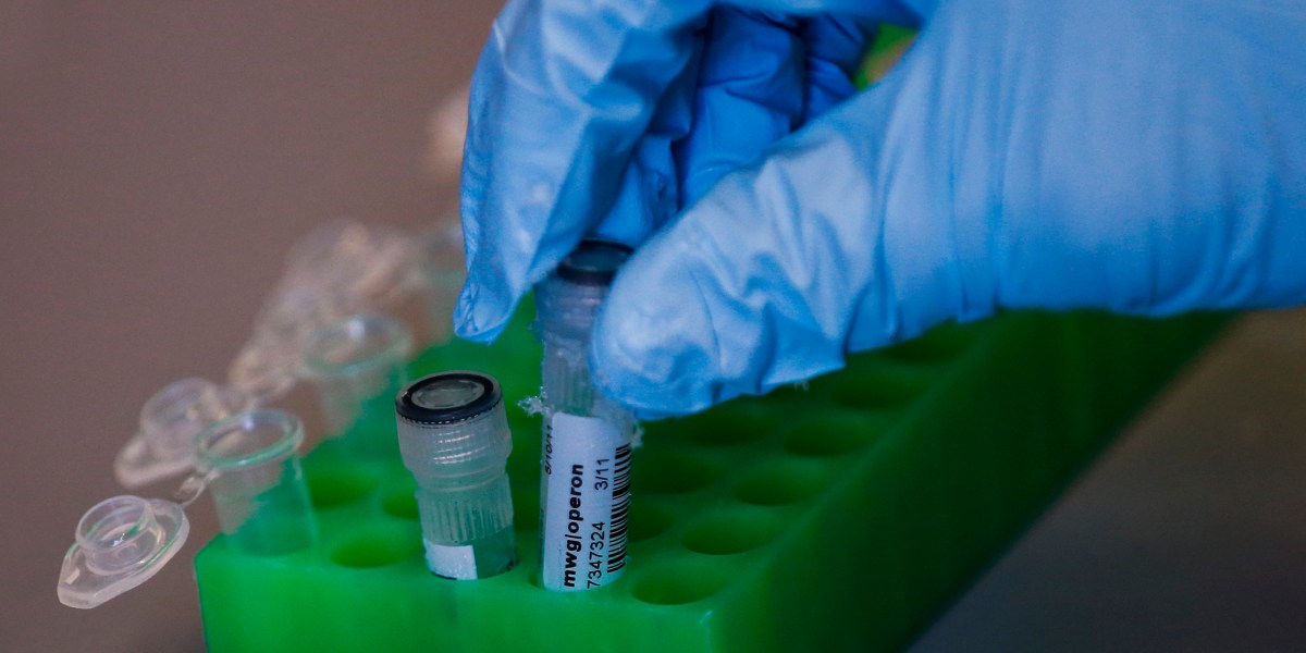 Designer Babies: When Genes Are for Sale, the Rich Will Pay | Fortune