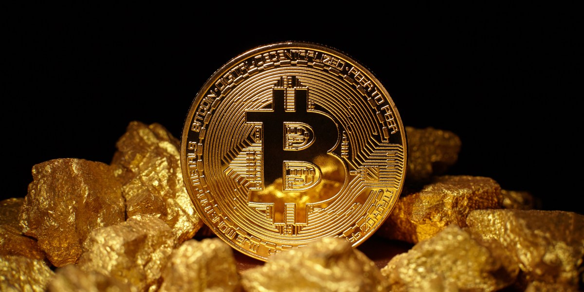 Bitcoin Bubble Is Biggest in 'Human History,' Economist Warns | Fortune