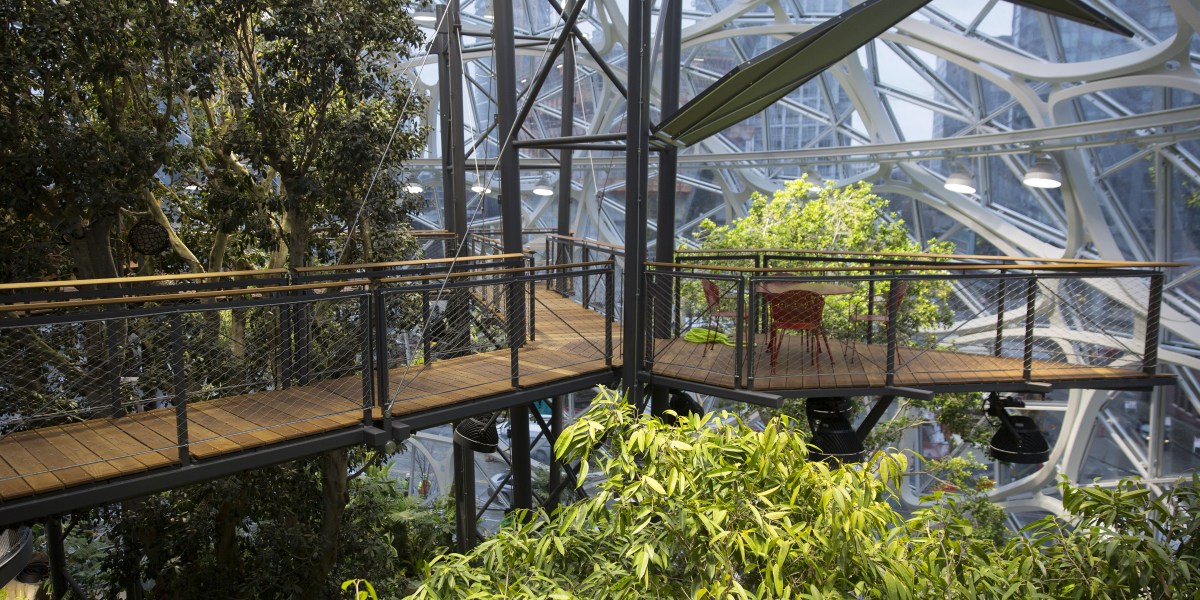Amazon Expanded Its HQ in Seattle. Now It Has a Rainforest | Fortune