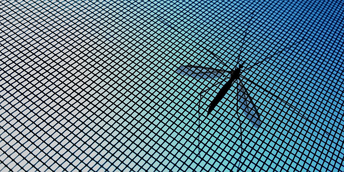 Tick and Mosquito-Borne Diseases Are on the Rise in the U.S., CDC Says ...