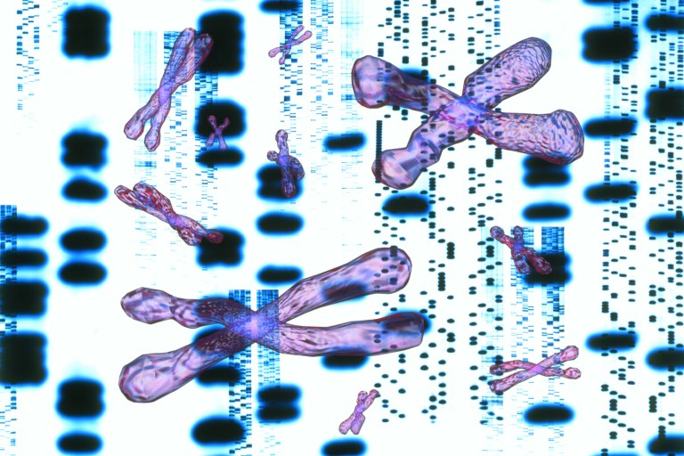 Key Genes for Intelligence, Depression, ADHD, and Autism Are Identified ...