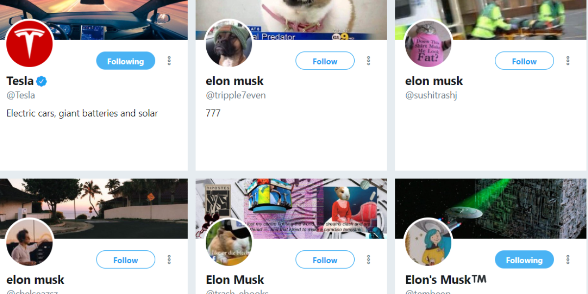 A Field Guide to Twitter’s Fake Elon Musks | Fortune