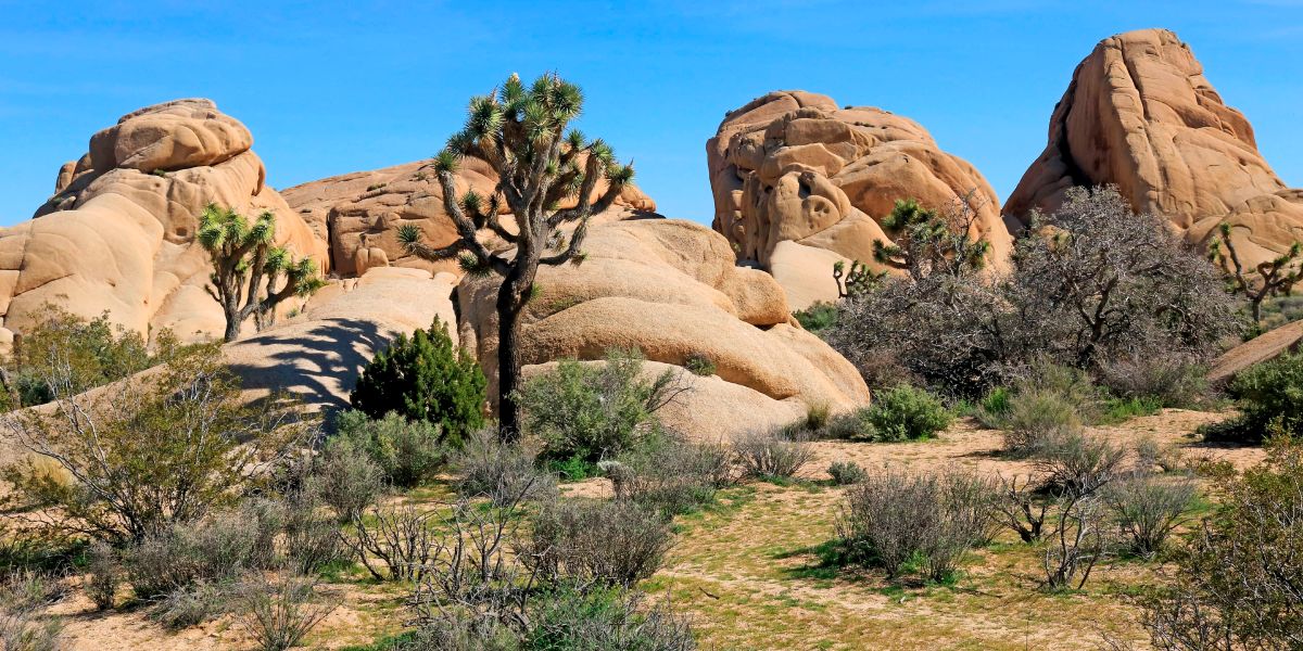 The Climate is Changing Faster in America's National Parks | Fortune