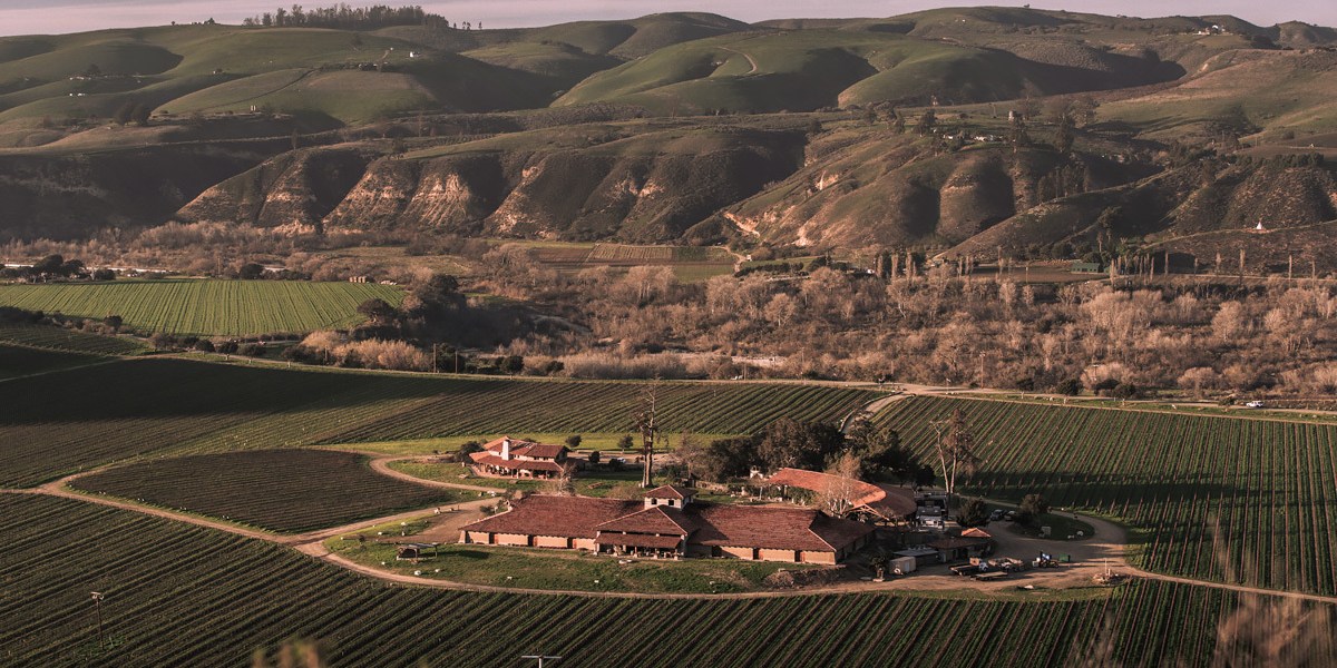 Some of California's Most Famous Wines Came From a Science Experiment ...