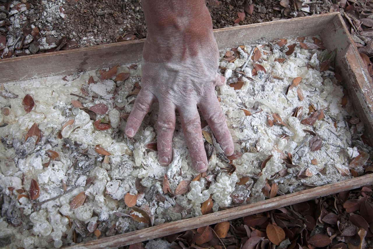 Can This Ancient Greek Spirit Known for Its Healing Powers Catch on in ...