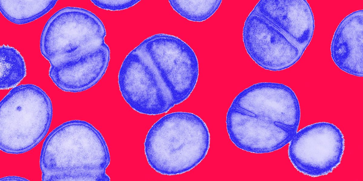 Antibiotic Industry: How to Fix Its Infection | Fortune