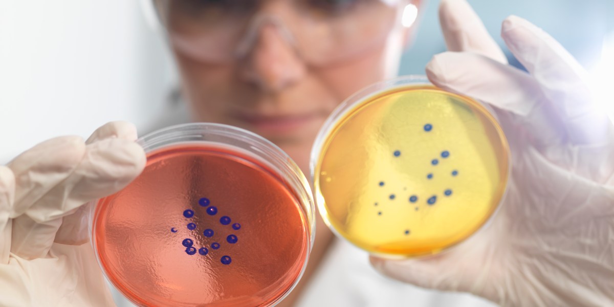 How AI actually works when it comes to discovering new antibiotics ...