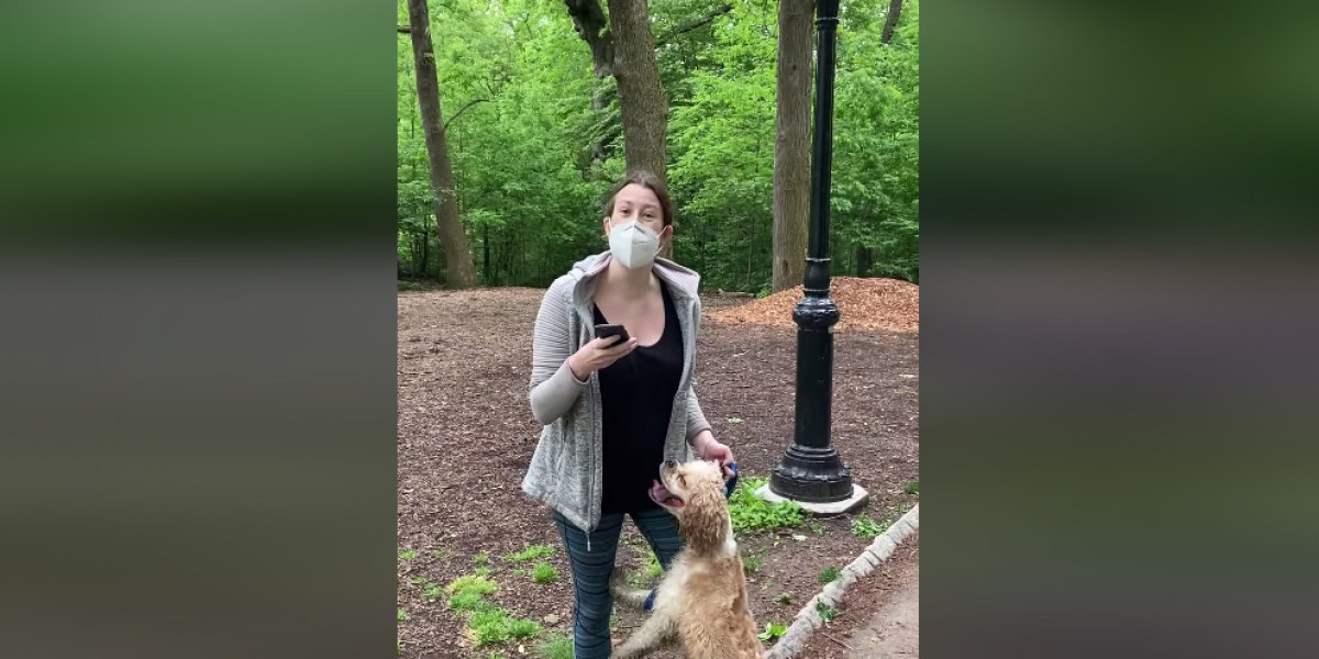 Amy Cooper video: Central Park Ramble incident with Christian Cooper is ...