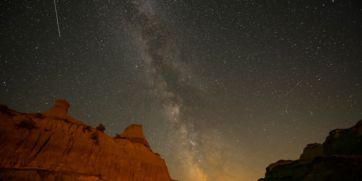 Dinosaurs find evidence of bone cancer in 76 million year old fossil ...