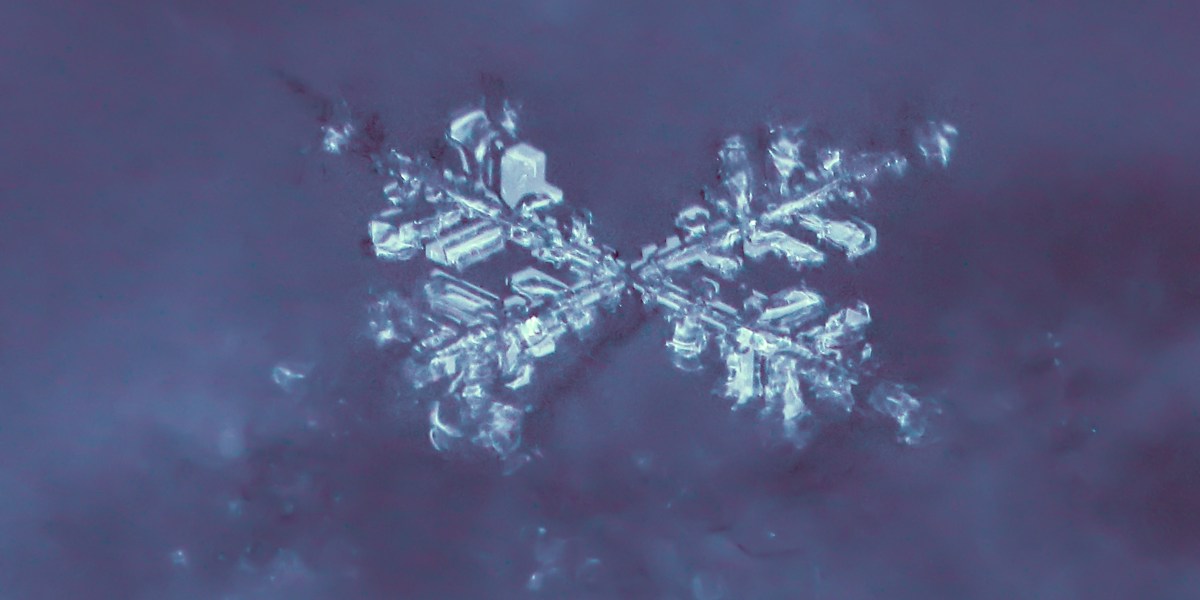 Snowflake IPO: Shares are priced above expected range | Fortune