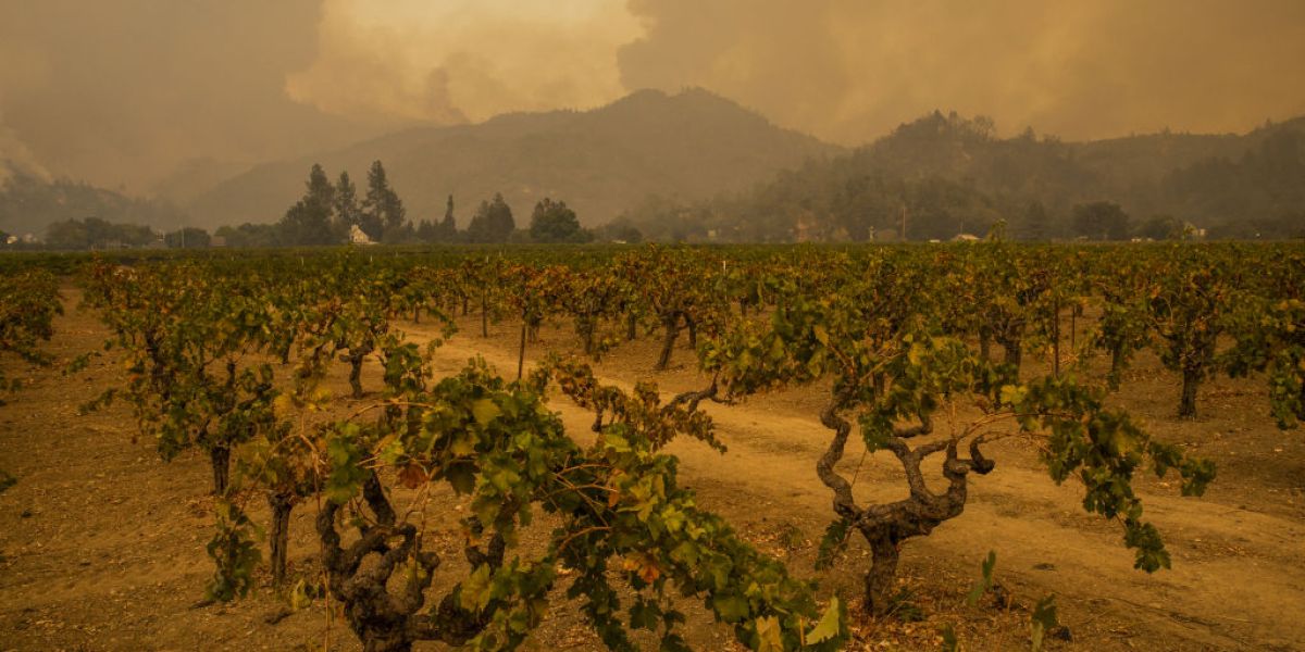 California Glass Fire ripping through wine country expands as thousands ...