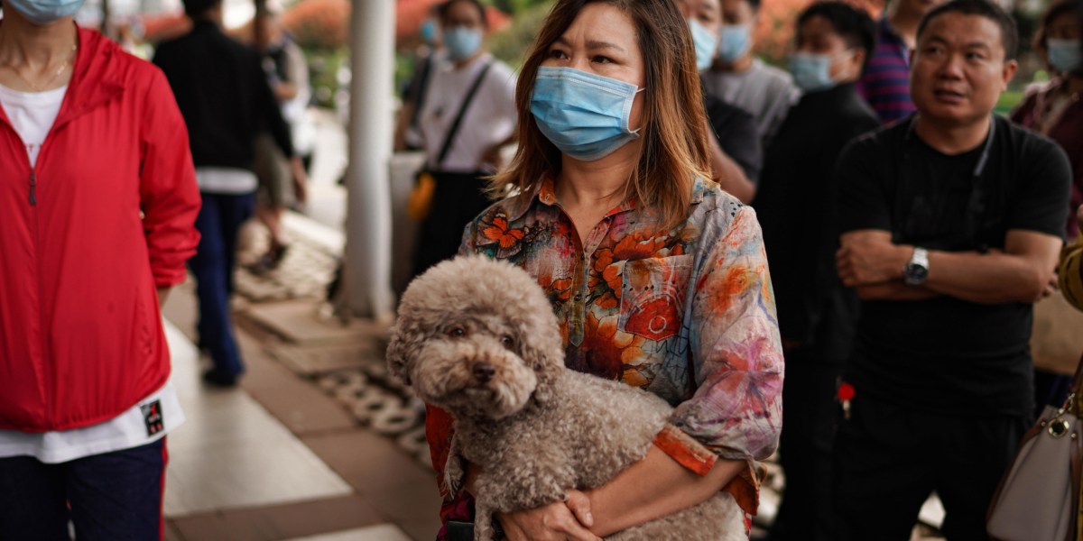 Animals and COVID-19: What we know—and what we don't | Fortune