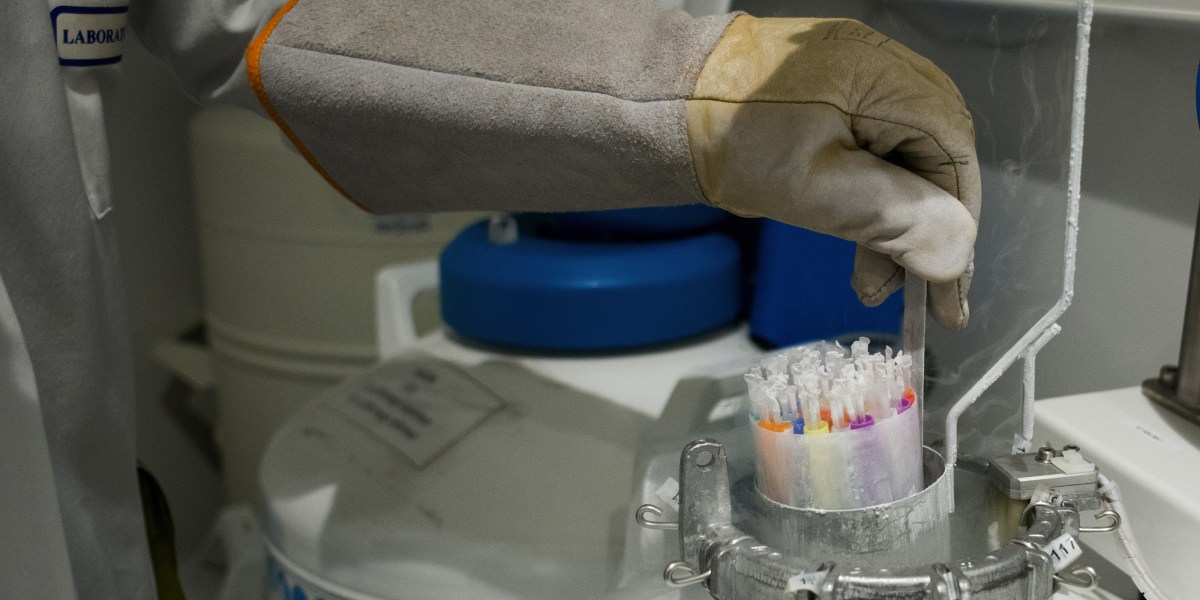Pfizer COVID vaccine needs super-cold storage. But that could change ...