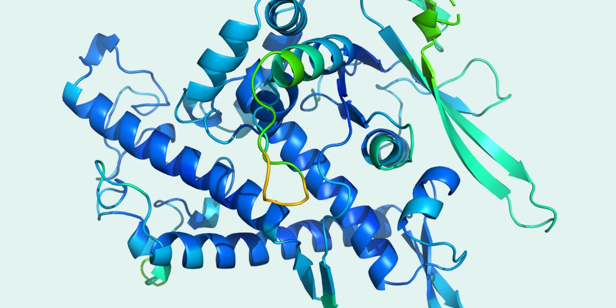 DeepMind's protein-folding breakthrough holds lessons for any company ...