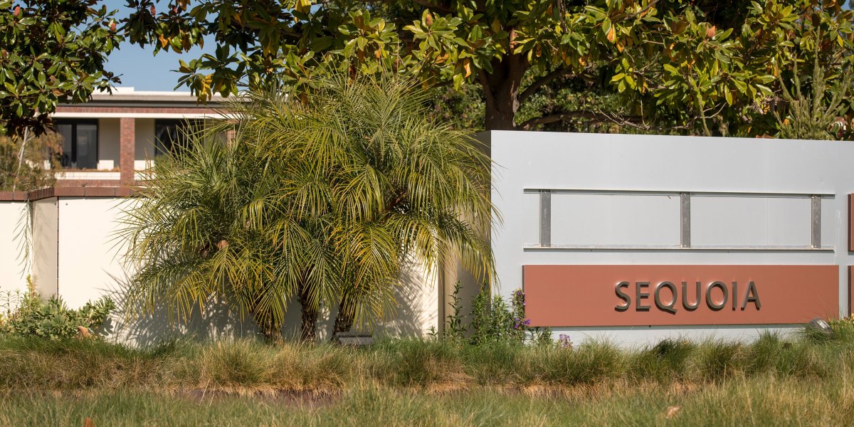 The careful distinction Sequoia Capital makes in its Black Swan follow ...