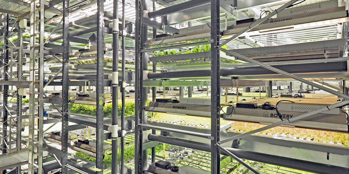 Bowery Farming hires Google IoT expert Injong Rhee to boost A.I ...