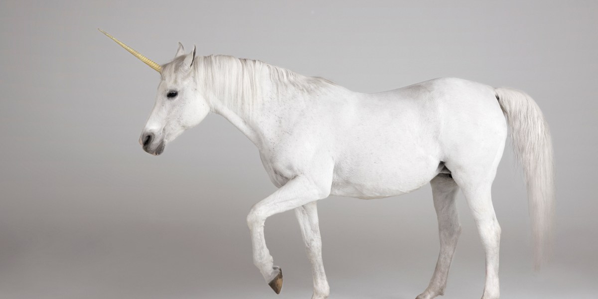 Unicorn companies are ‘average’ now…but some things haven’t changed ...