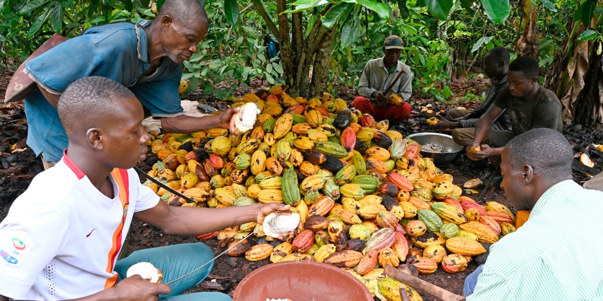 Tony's Chocolonely tries to prove that ethical chocolate and sweet ...