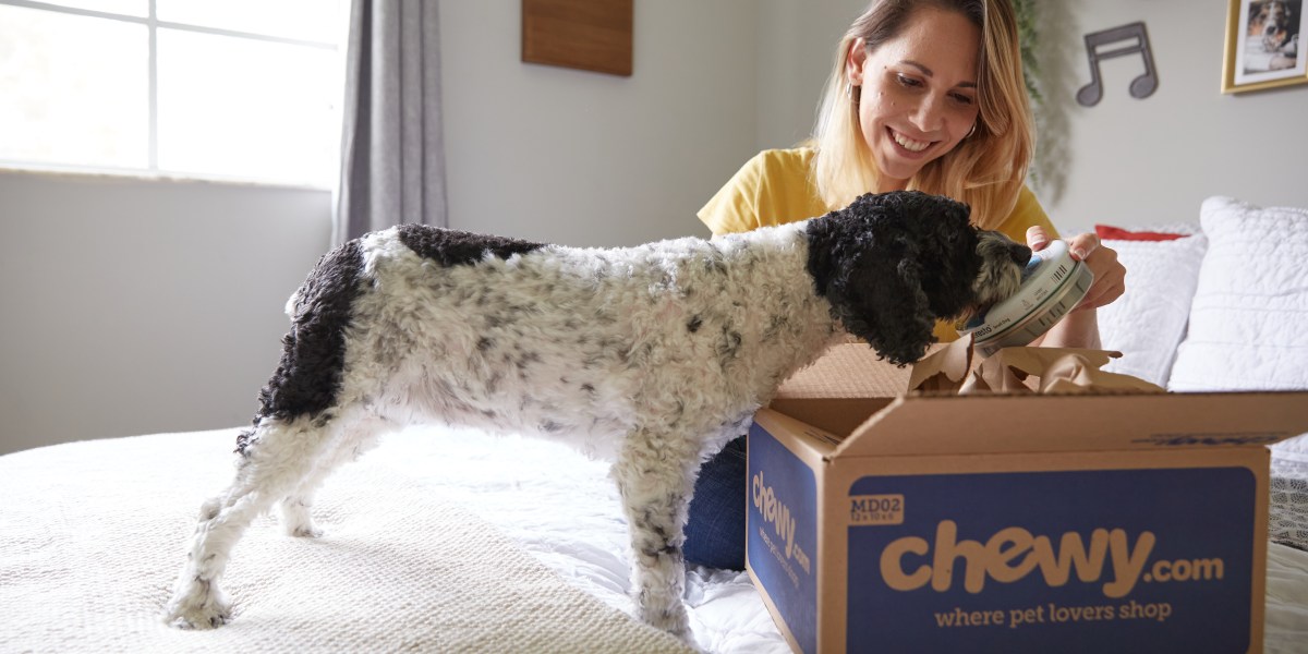 Chewy joins the Fortune 500: How a quirky company become an commerce ...