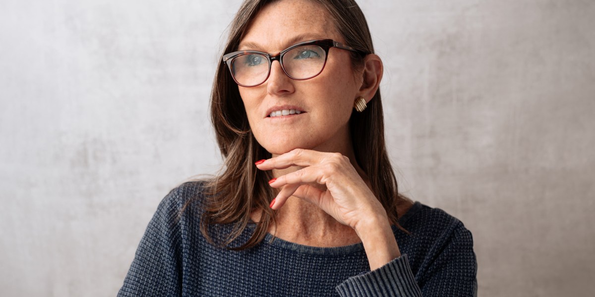 Cathie Wood says the metaverse could be worth trillions | Fortune