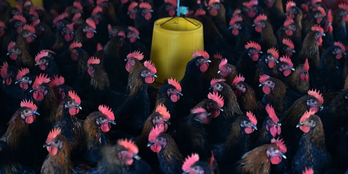 Mysterious gene found in Georgia sewer water resists the most powerful ...