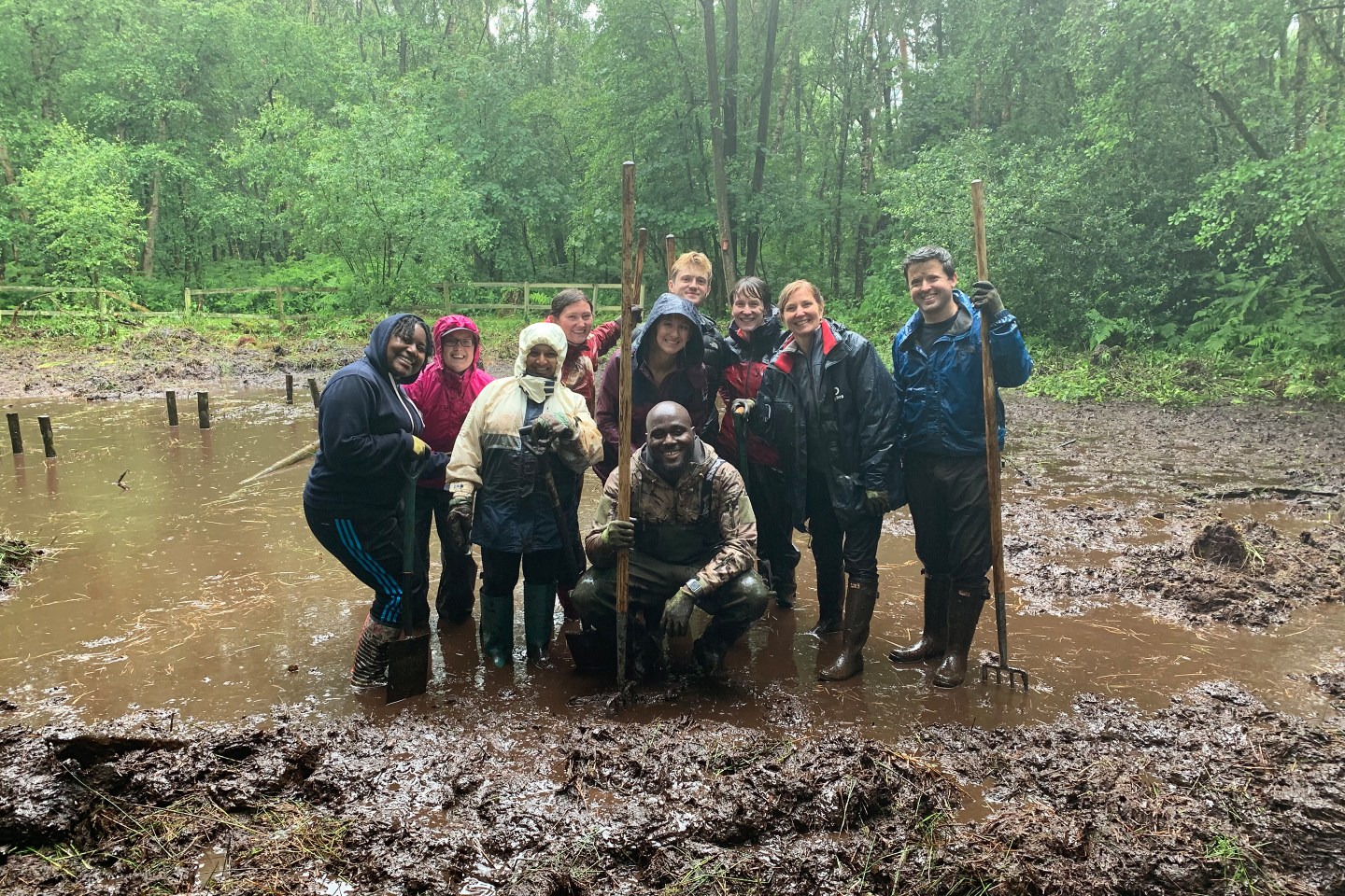 Dechra Pharmaceuticals Company Profile, Stock Price, News, Rankings ...