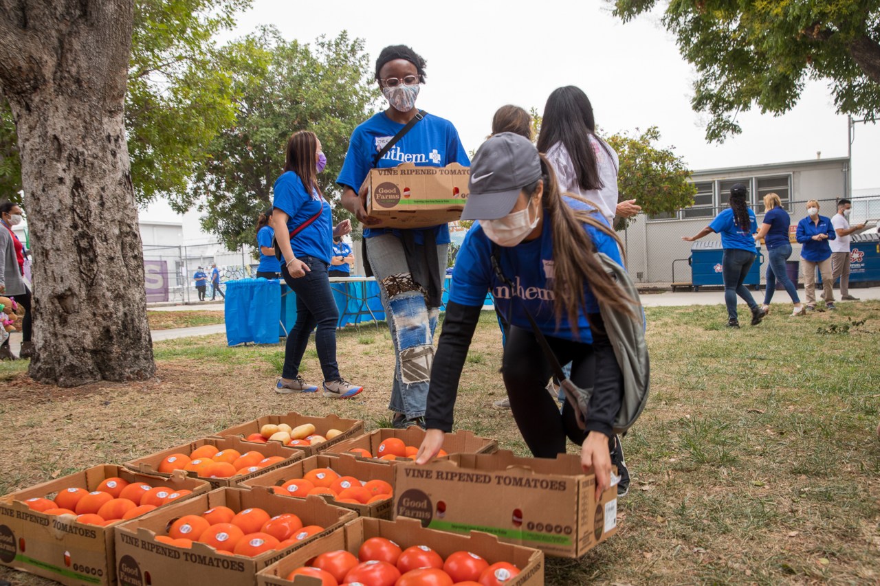 Elevance Health (ELV): Company Profile, Stock Price, News, Rankings ...