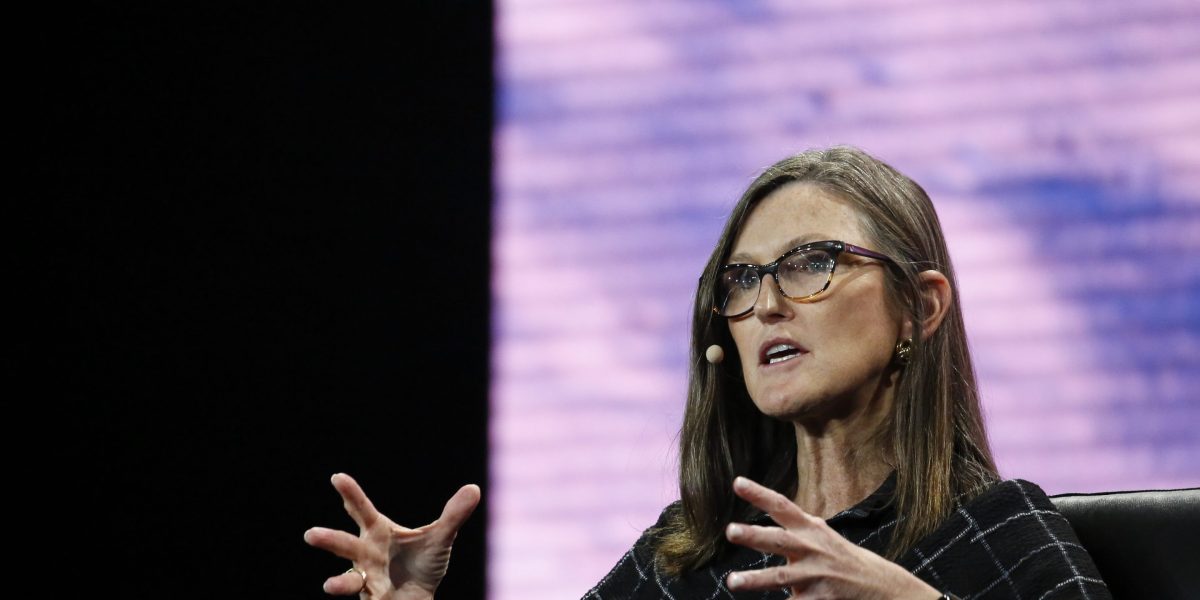 Cathie Wood’s Ark has named a ‘chief futurist’: Brett Winton | Fortune