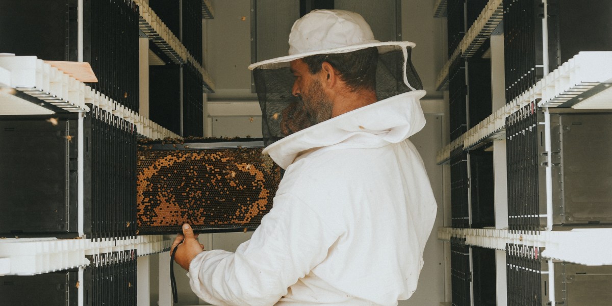 “We literally live on the stuff they pollinate”: This Arab-backed ...