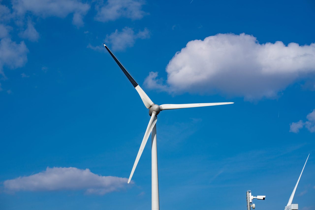 Wind farm companies paint turbines black to reduce bird death risk ...