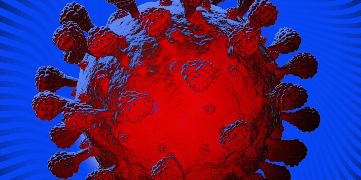 What’s CH.1.1? Meet ‘Orthrus,’ a new wildcard Omicron strain with a ...