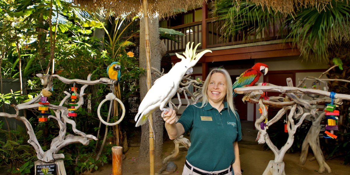 Career path of an exotic bird handler in California | Fortune