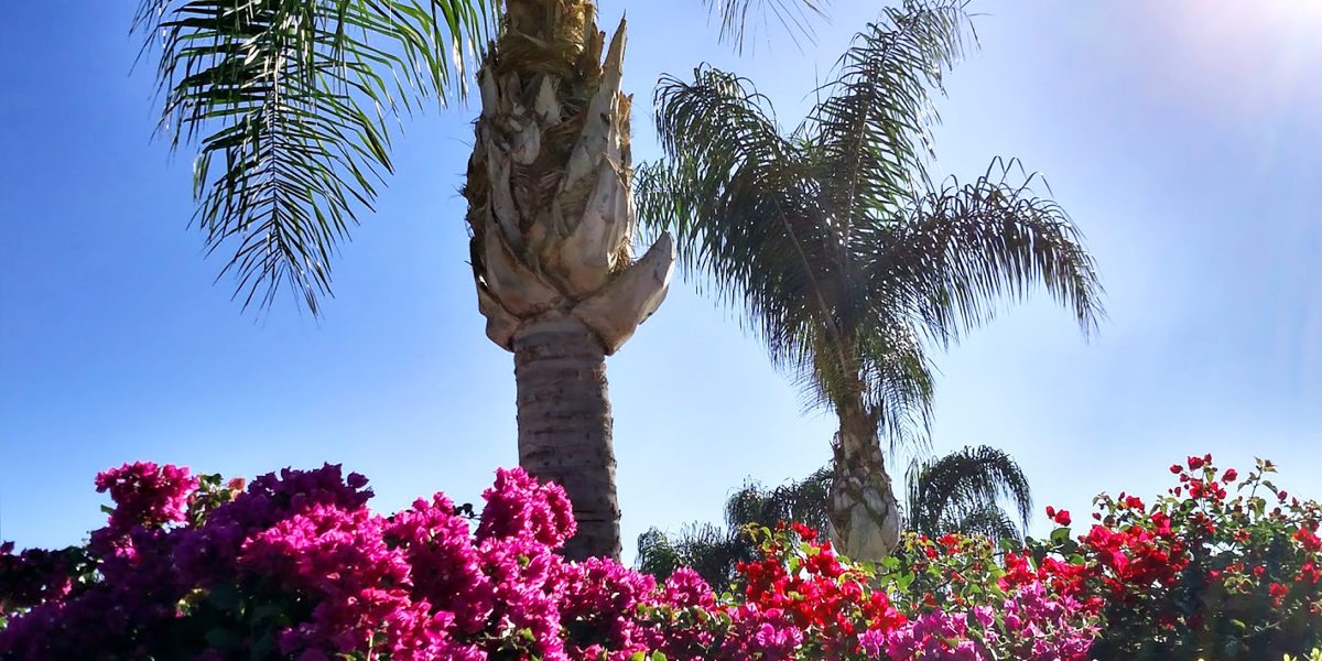 The secrets to longevity from residents of America’s only blue zone ...