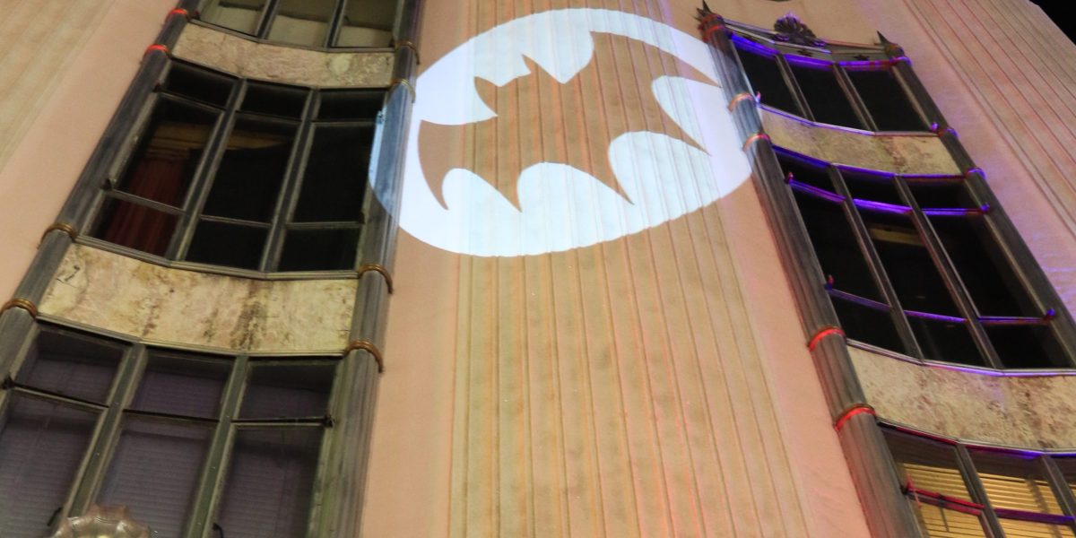 Study: Climate change will wipe out 81 of 154 bat species | Fortune